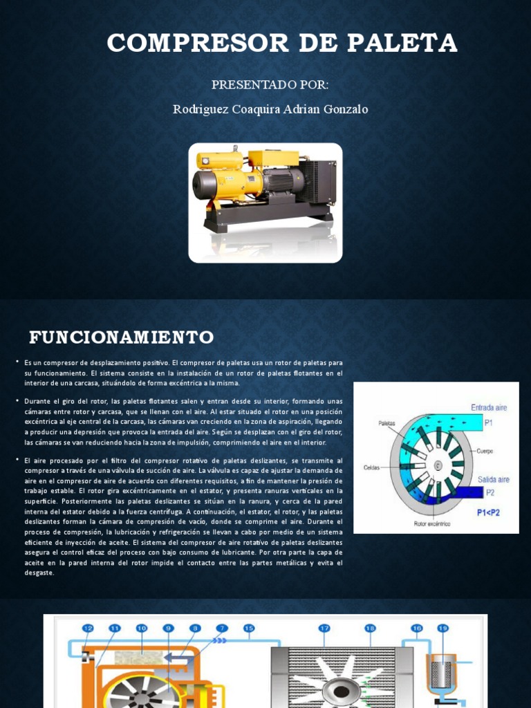 Compresor de Paleta | PDF | Ingeniería mecánica | Máquinas