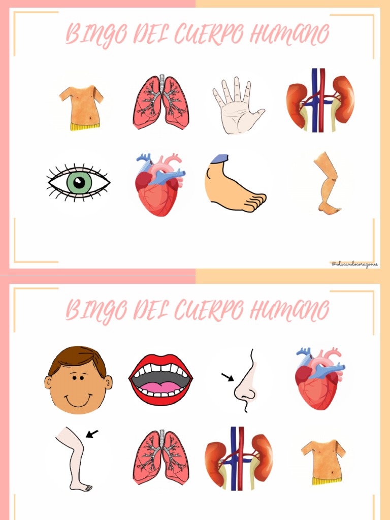 Bingo Del Cuerpo Humano Educandocorazones | PDF