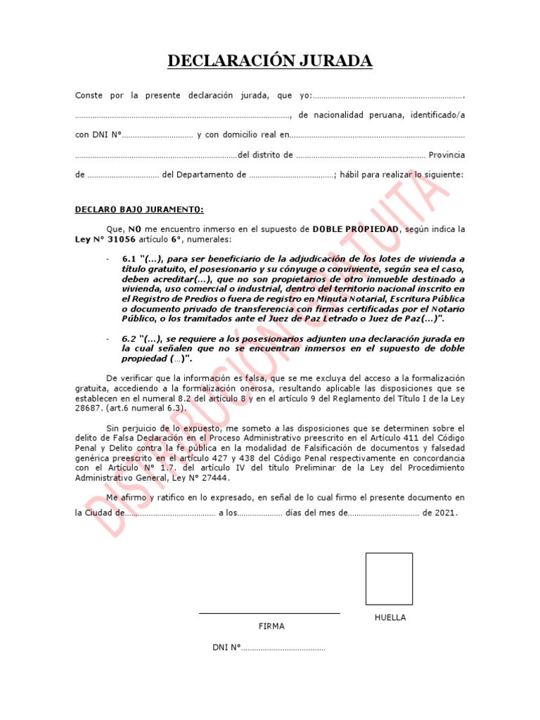 Declaracion Jurada de Lote | PDF | Gobierno | Justicia