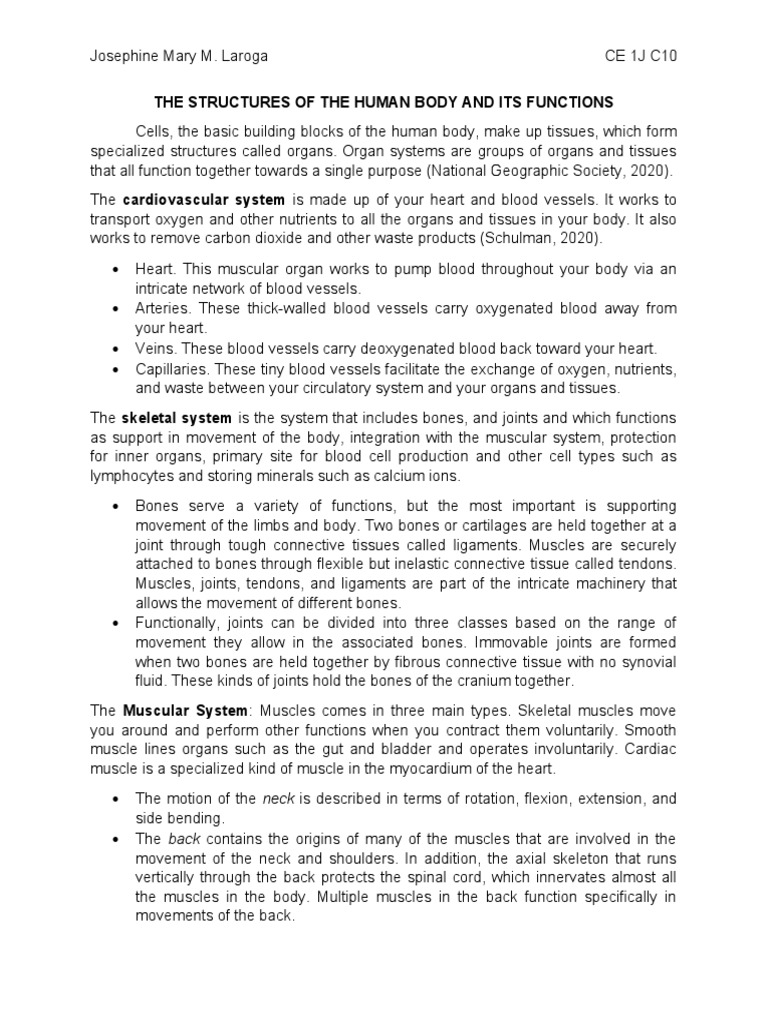 The Structures of The Human Body and Its Functions | PDF | Human Body ...