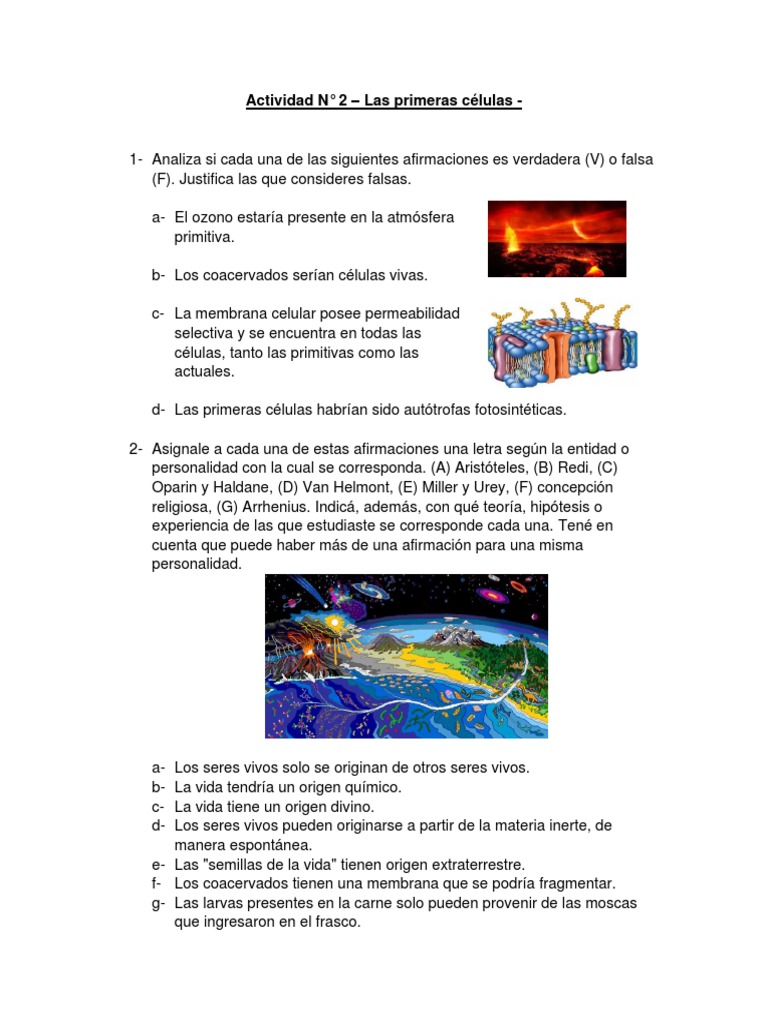Evaluación de Teorías del Origen de la Vida | PDF | Biología Celular ...