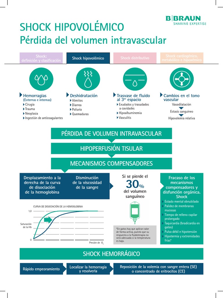 Infografía Shock | PDF | Enfermedades y trastornos | Tejido (biología)