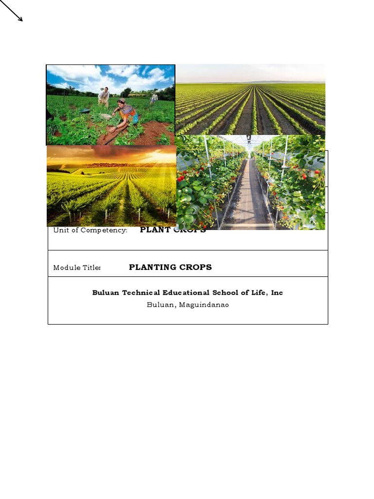 Portfolio For TM1 | PDF | Plant Nursery | Learning