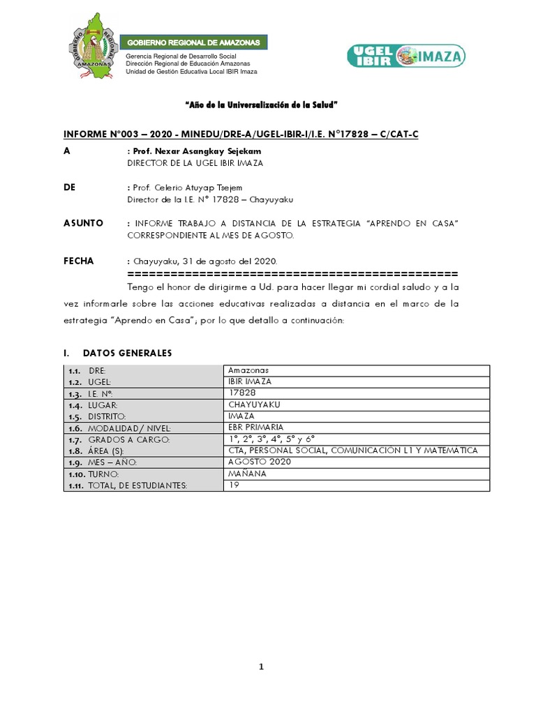 Informe Consolidado N003 | PDF