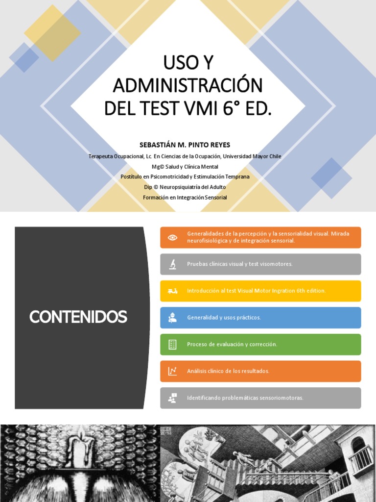 Uso y Administración Del Test Vmi 6° | PDF | Percepción visual | Percepción