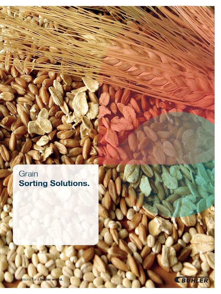 Grain Brochure | PDF | Wheat | Oat