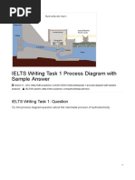 IELTS Writing Task 1 Diagram With Sample Answer | PDF | Homo | Human