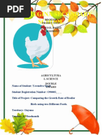 Broiler Production SBA Project Report | PDF | Wellness