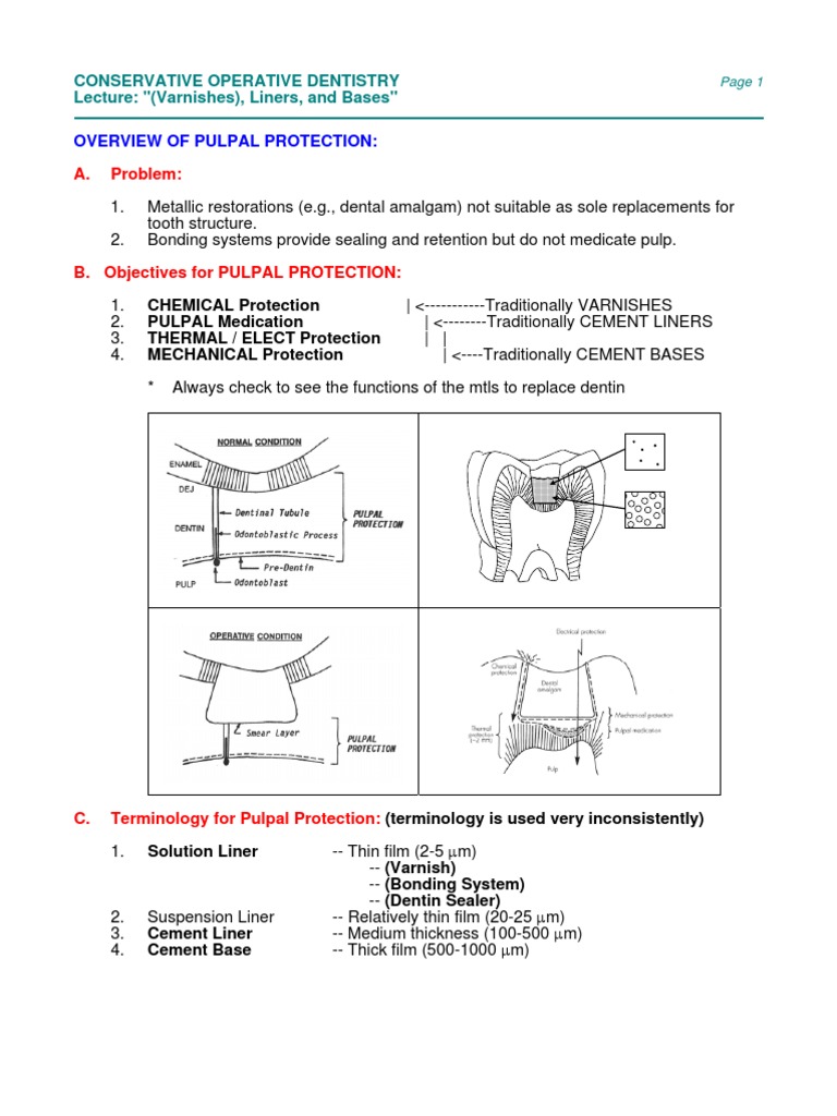 Overview of Pulpal Protection | PDF | Dental Material | Chemistry