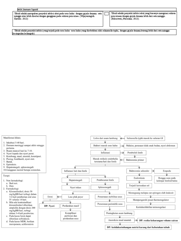 Woc Thypoid.. | PDF