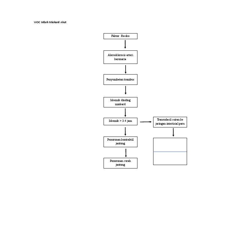 WOC Infark Miokard Akut | PDF