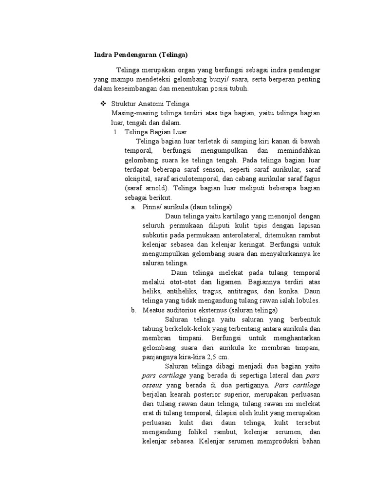 Indra Pendengaran | PDF