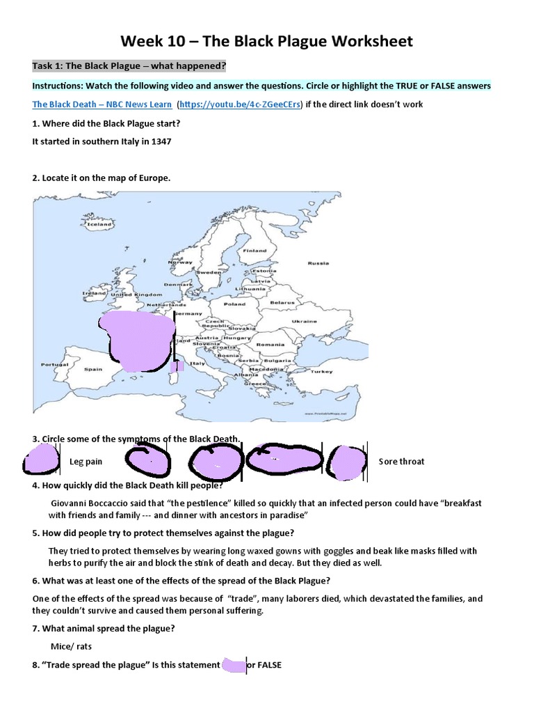 The Black Plague Worksheet | PDF