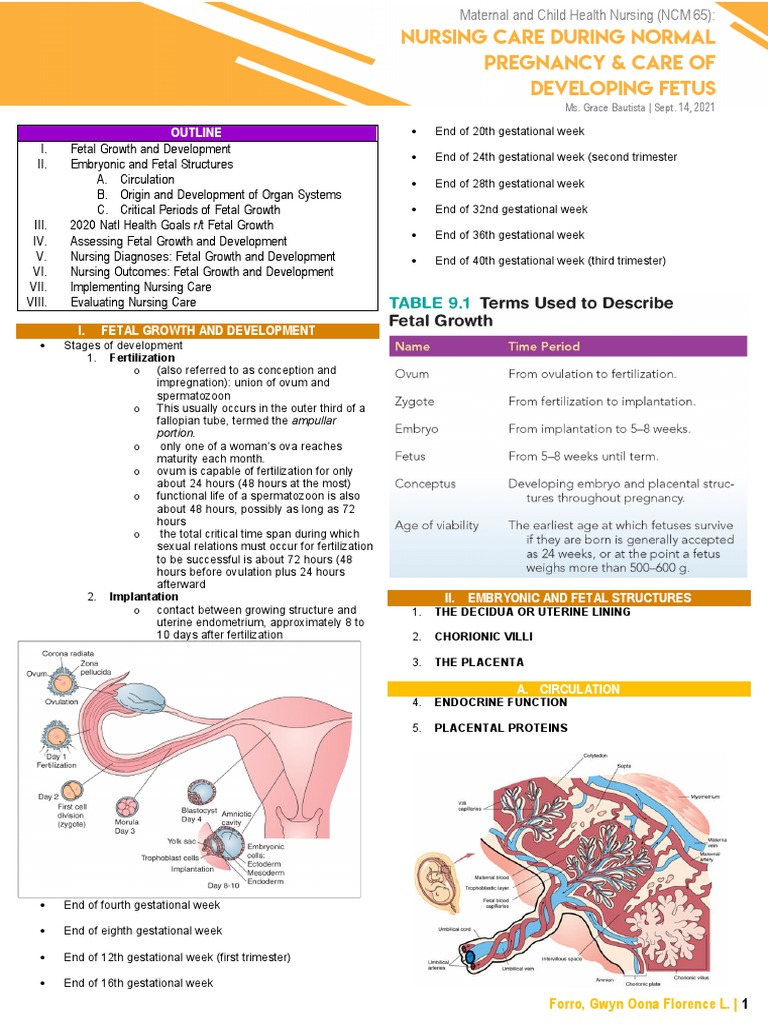 Understanding Fetal Growth and Development: A Comprehensive Guide to ...
