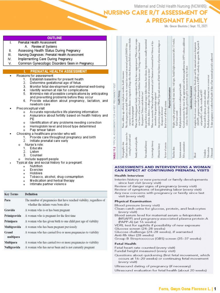 Assessment of A Pregnant Family | PDF | Pregnancy | Prenatal Development
