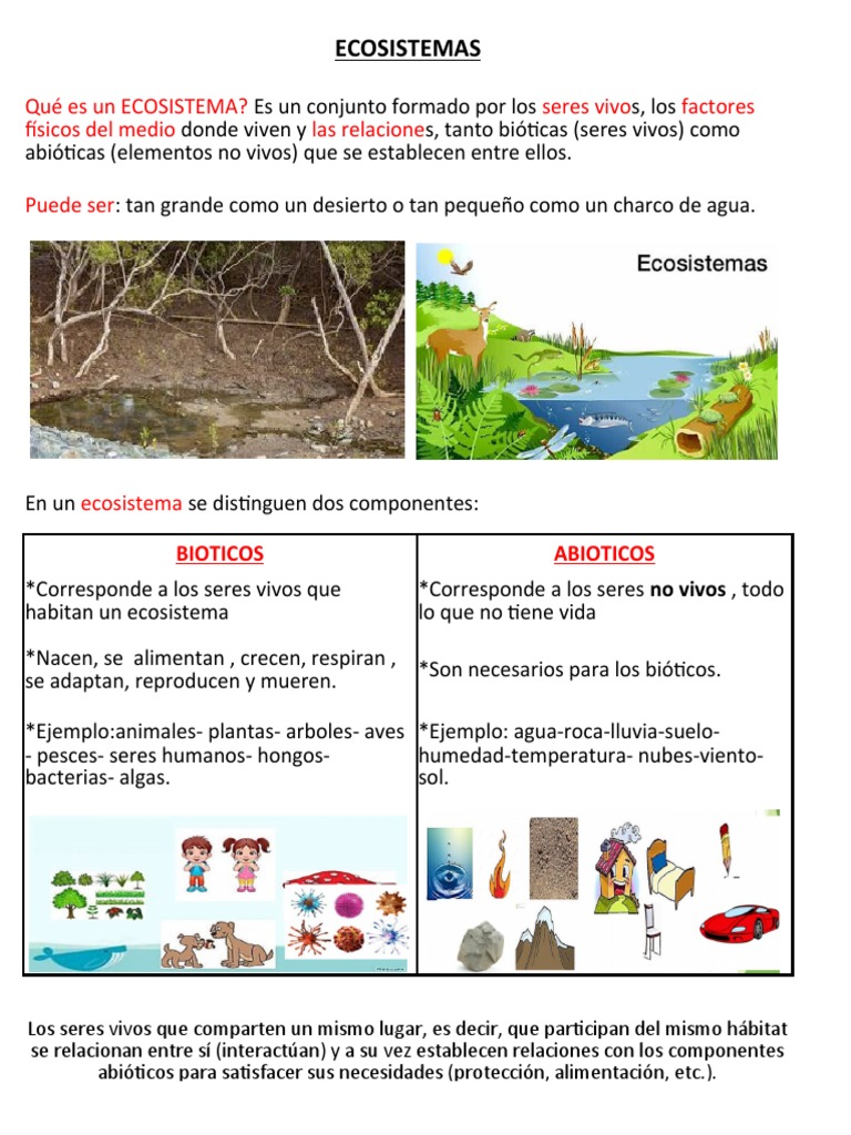 Repaso de Naturales21 | PDF | Ecosistema | Habitat