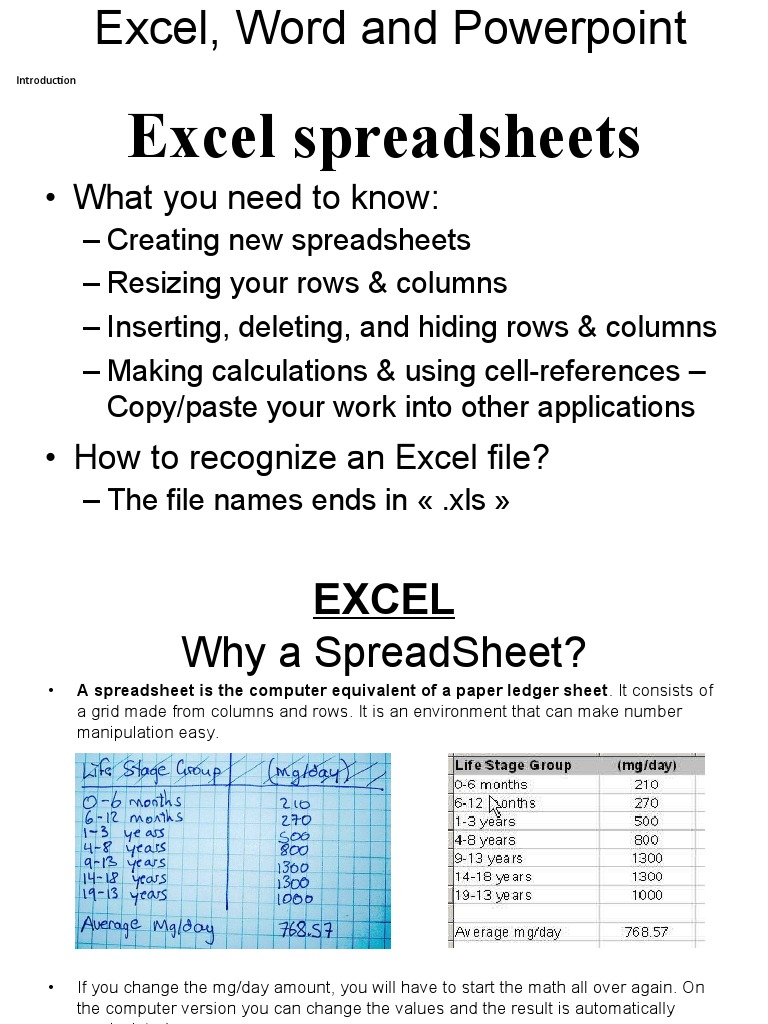 Excel, Word, and PowerPoint Basics Guide | PDF | Spreadsheet ...