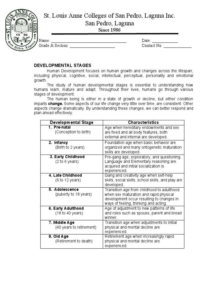 (Template) DEVELOPMENTAL STAGE WORKSHEET | PDF | Developmental ...