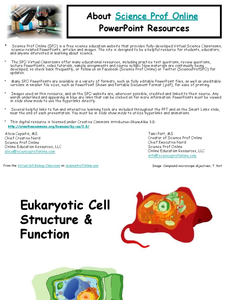 Eukaryotic Cell Structure Function Lecture PowerPoint VCBCCT | PDF ...