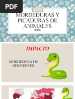SSQ12 Spanish | PDF | Audífono