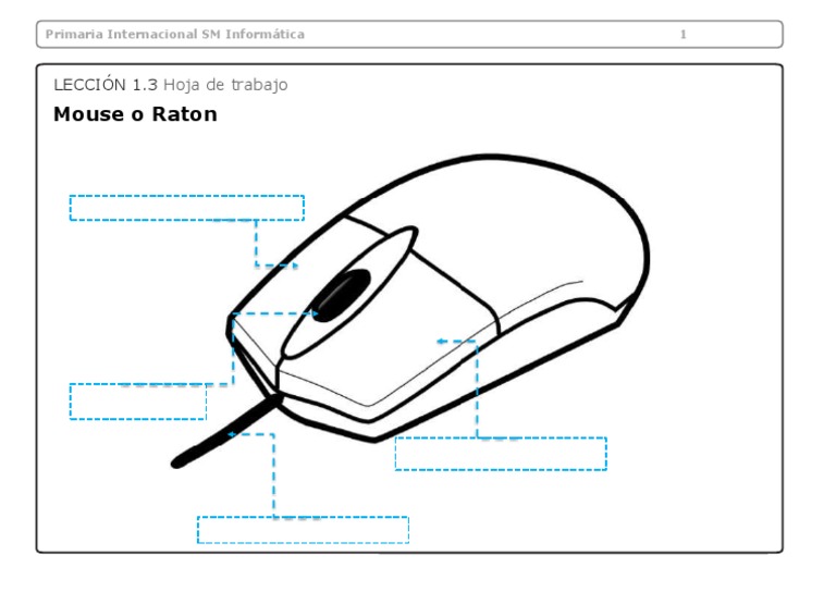 Las Partes de Un Mouse | PDF