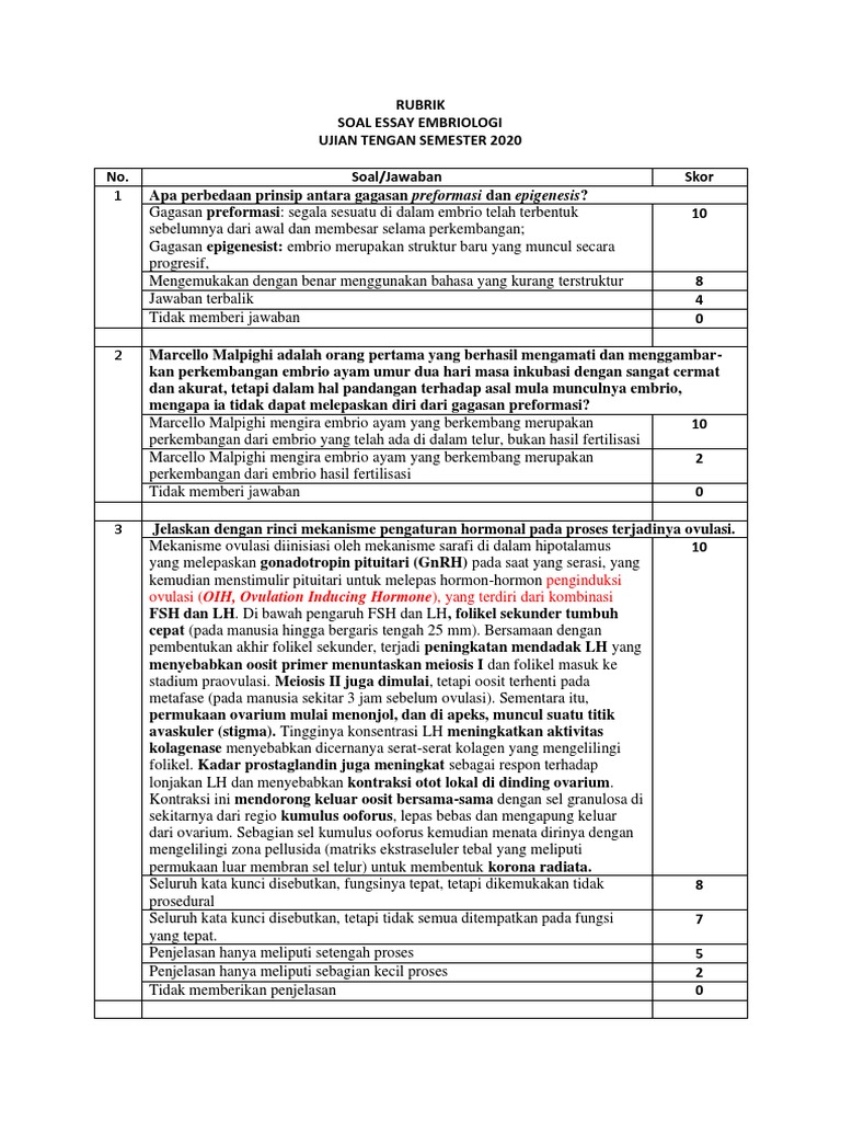 Contoh RUBRIK Soal Essay | PDF