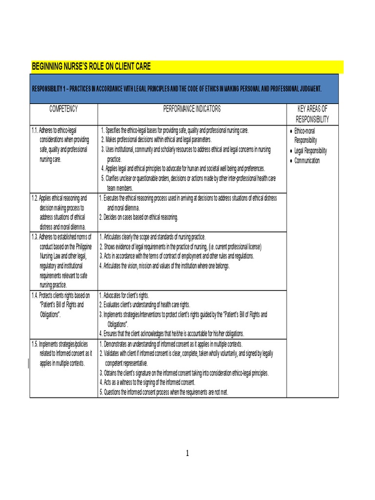 Nursing Responsibilities in Client Care | PDF | Competence (Human ...