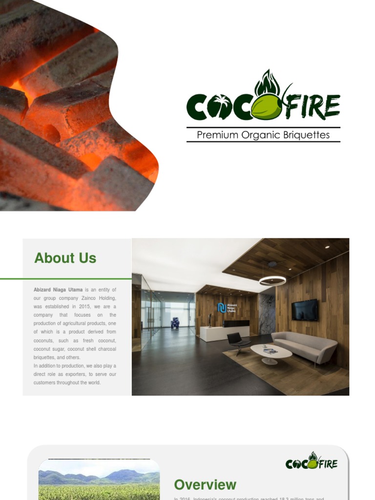 Coco Fire Indonesa - Anu 2021 | PDF | Coconut | Smoke