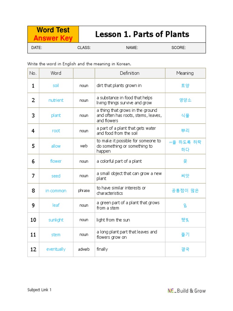 Lesson 1. Parts of Plants: Answer Key | PDF | Verb | Noun