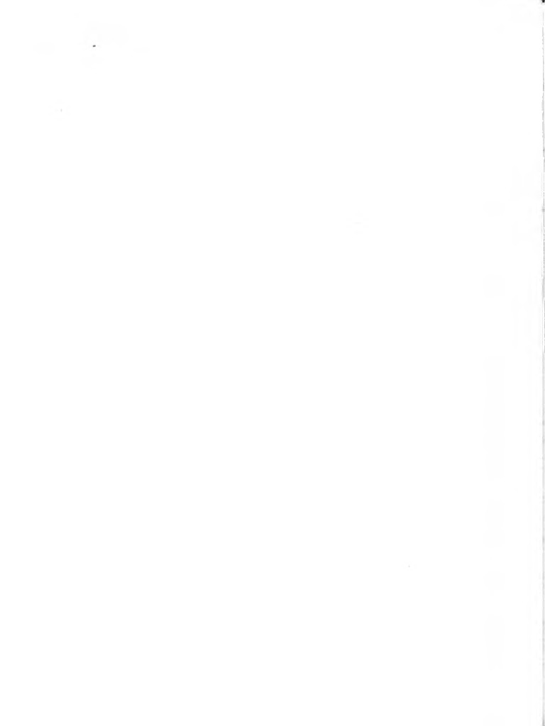 Civil Law Reviewer Rabuya | PDF | Will And Testament | Precedent