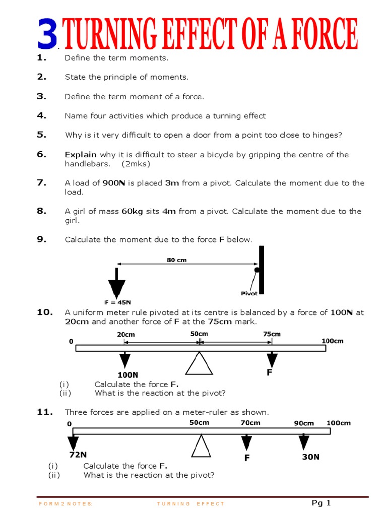 2.2 Turning Effect | PDF | Force | Weight