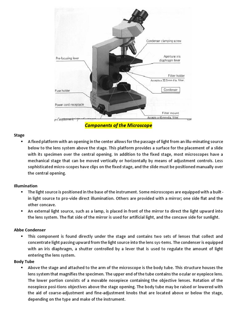 MICROSCOPE | PDF | Ultraviolet | Microscopy