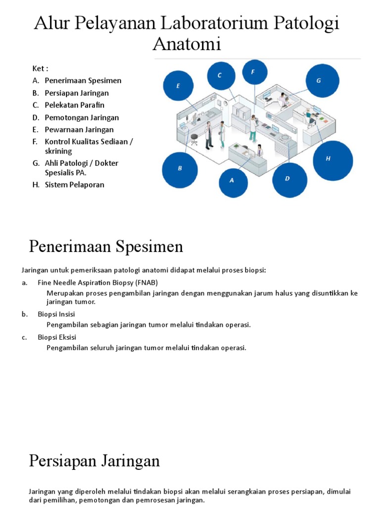 Alur Pelayanan Lab PA | PDF