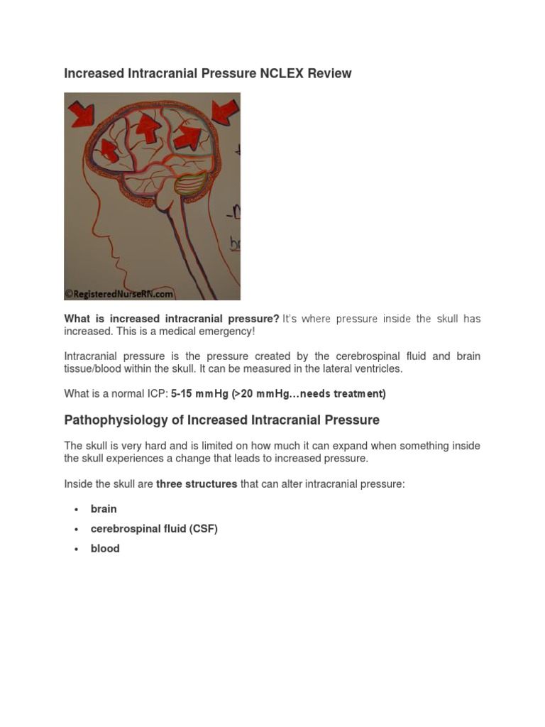 Increased Intracranial Pressure NCLEX Review | PDF | Human Anatomy ...