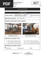 Formulario AET - Modelo - Word | PDF | Tempo | Fatores humanos e Ergonomia