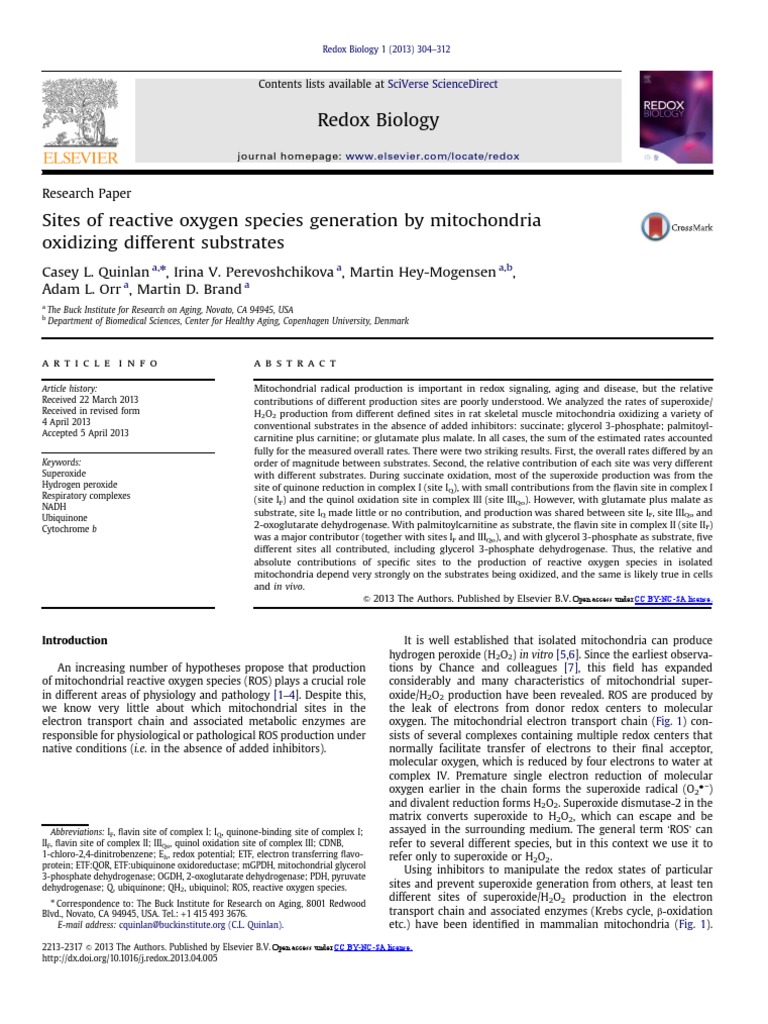 Sites of Reactive Oxygen Species Generation by Mitochondria Oxidizing ...