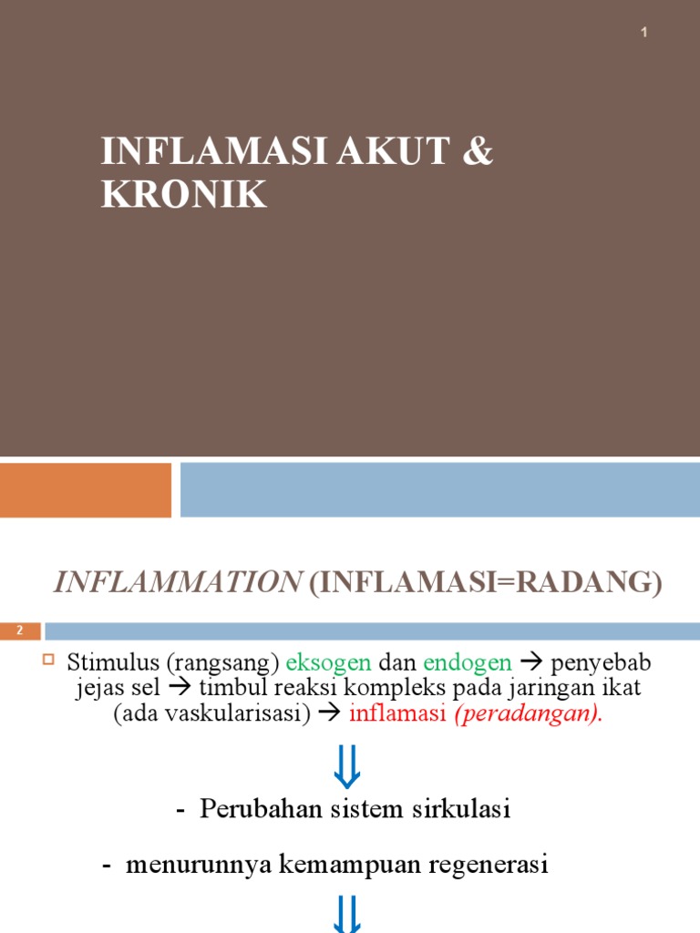 Inflamasi Akut Dan Kronis | PDF