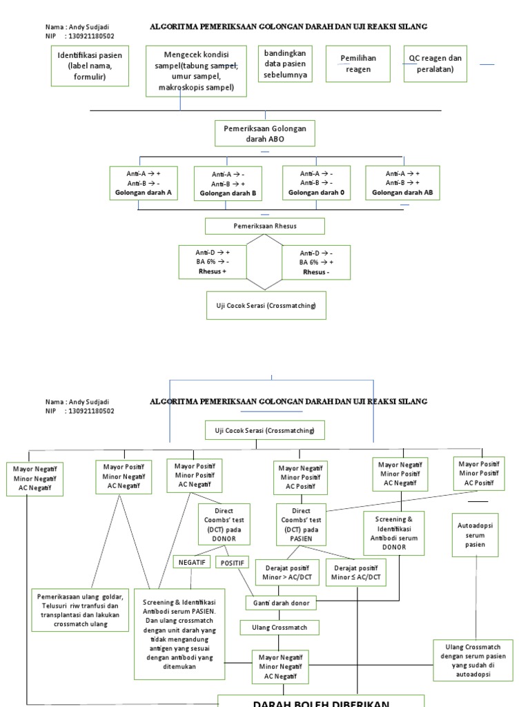 Algoritme Bank Darah NZD | PDF