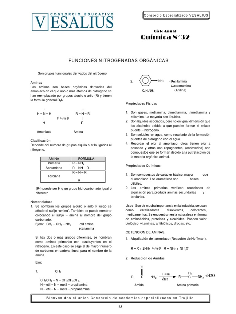Funciones Nitrogenadas: Aminas y Amidas | PDF | Amida | Ácido