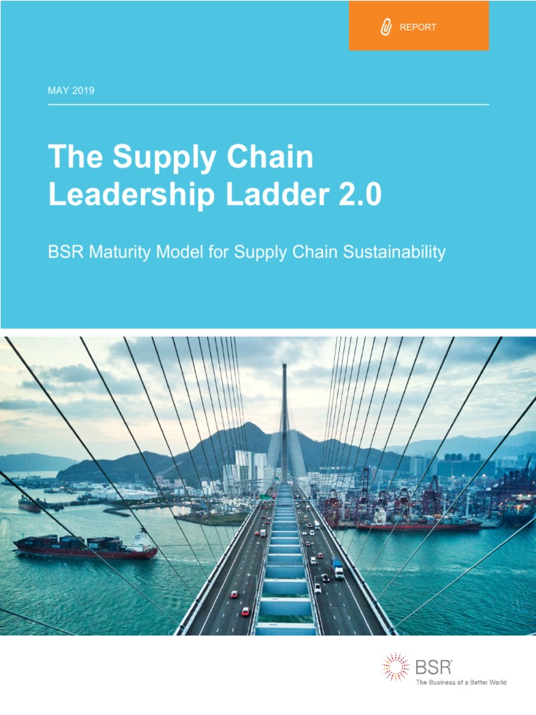 The Supply Chain Leadership Ladder 2.0 | PDF | Supply Chain ...