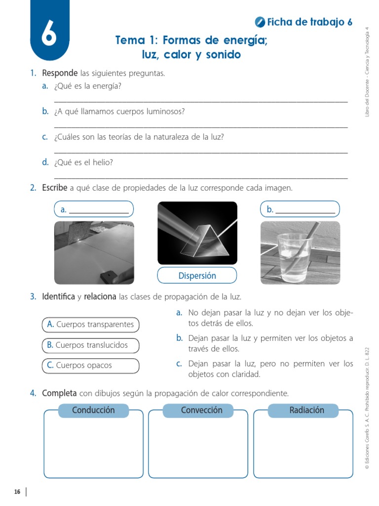 Ficha de Trabajo 6 | PDF | Energía renovable | Desarrollo energético