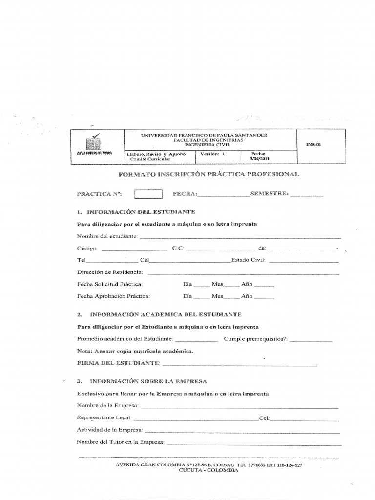 Formato de Ins | PDF