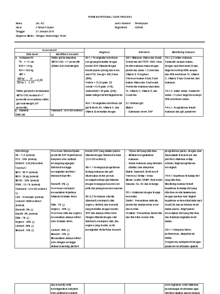 NCP Kasus Hematologi (DHF) | PDF