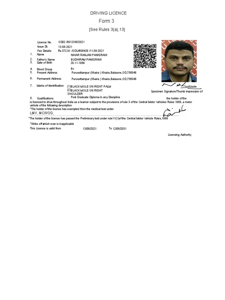 Driving Licence | PDF