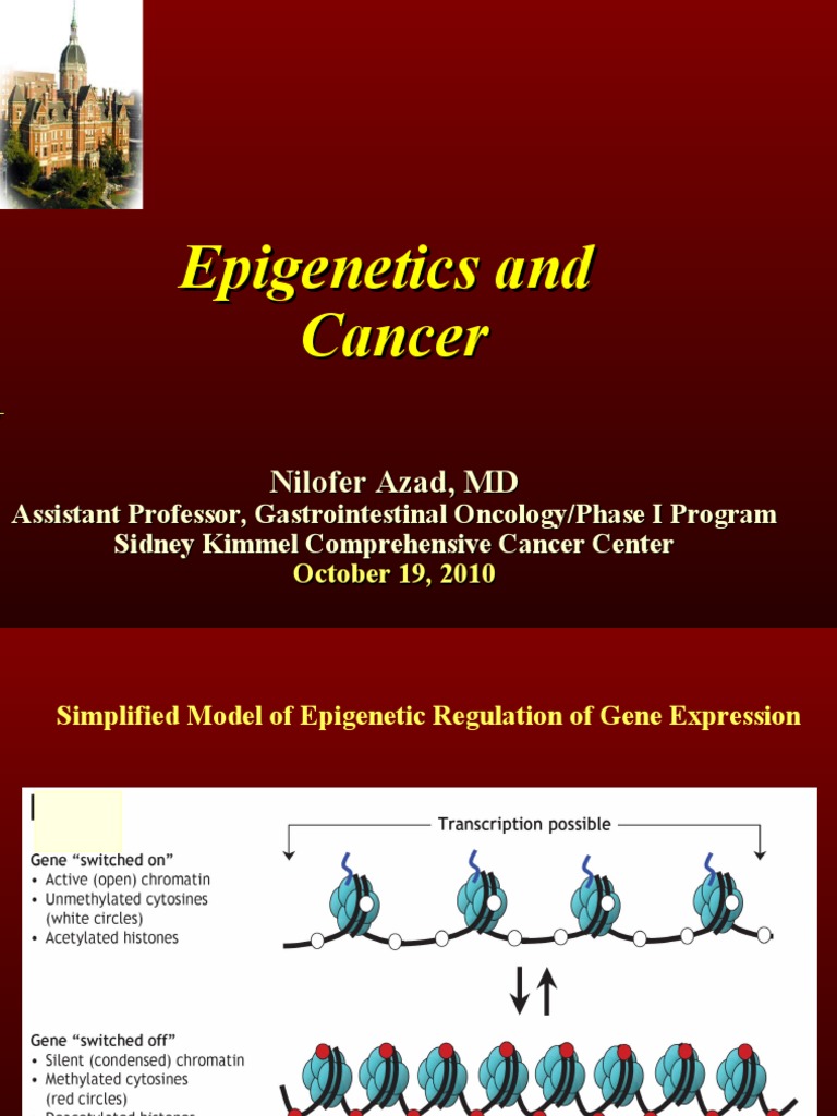 Epigenetics (Nilofer Saba Azad, M.D.) | PDF | Cancer | Colorectal Cancer