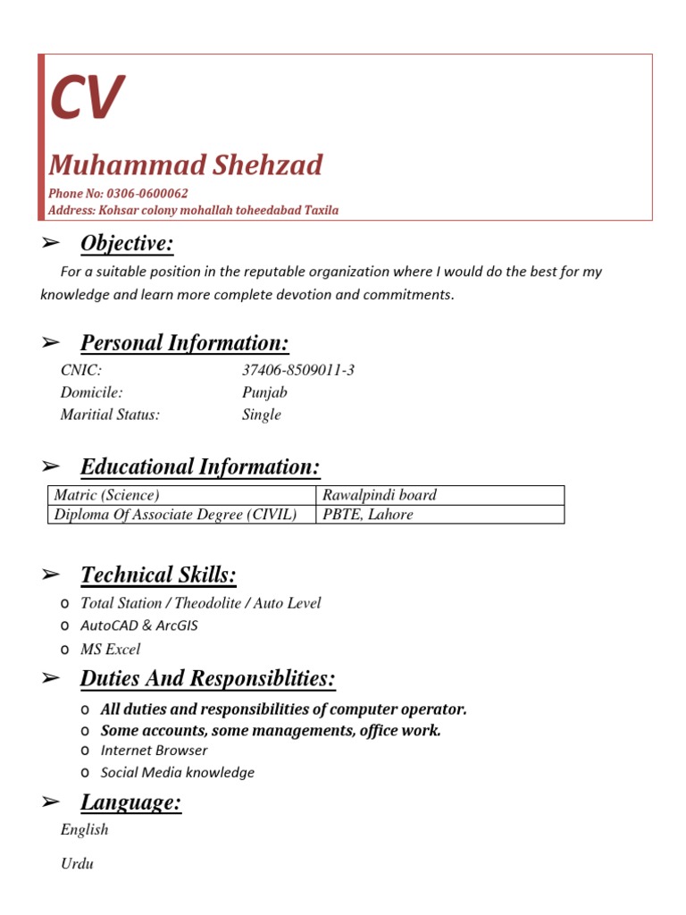 CV Shehzad | PDF