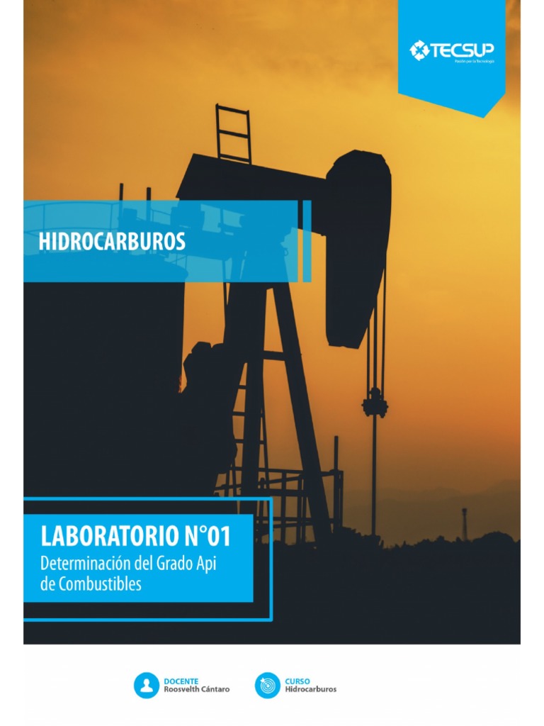 TALLER N - 1 - DETERMINACI+ôN DEL GRADO API DE COMBUSTIBLES | PDF