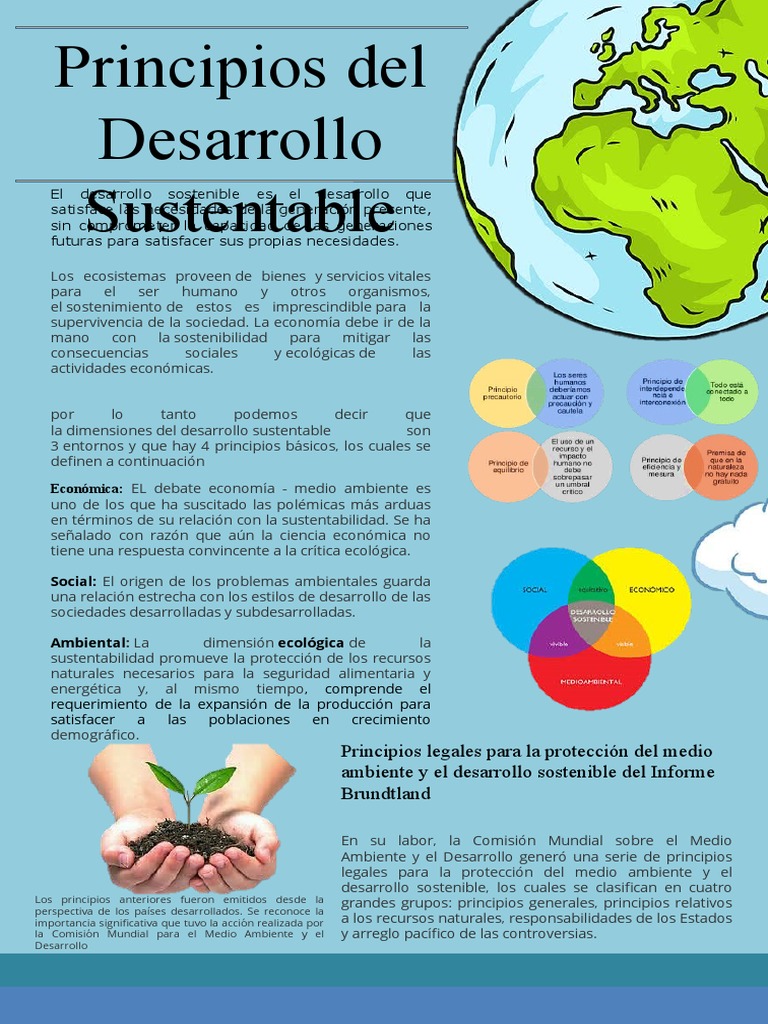Principios de Desarrollo Sustentable | PDF | Sustentabilidad | Desarrollo sostenible