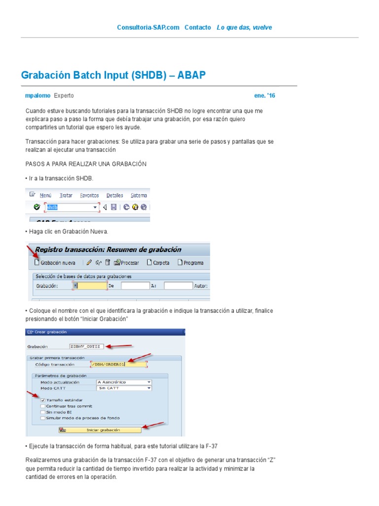 Grabación Batch Input (SHDB) - ABAP | PDF | Gestión de tecnología de la ...