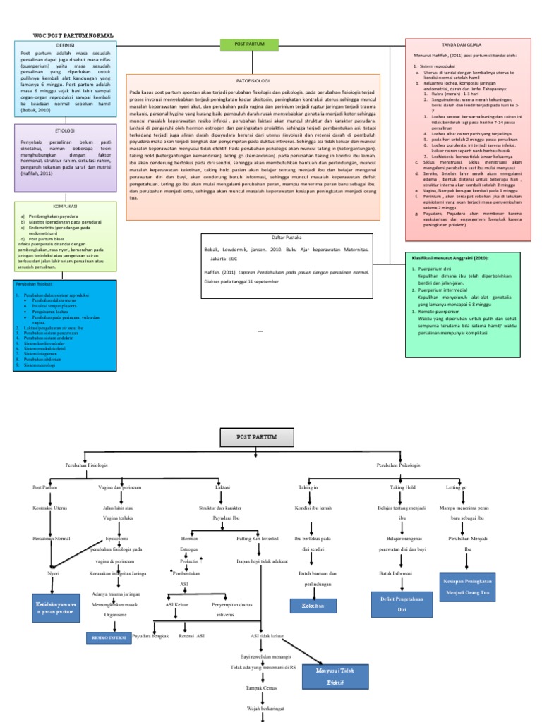Woc Post Partum 1 | PDF